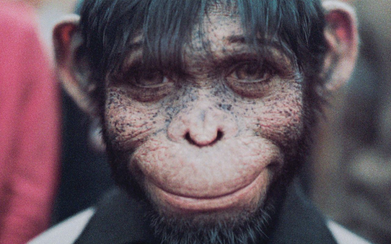 Better Man con Robbie Williams: dove vederlo in tv e streaming | Style