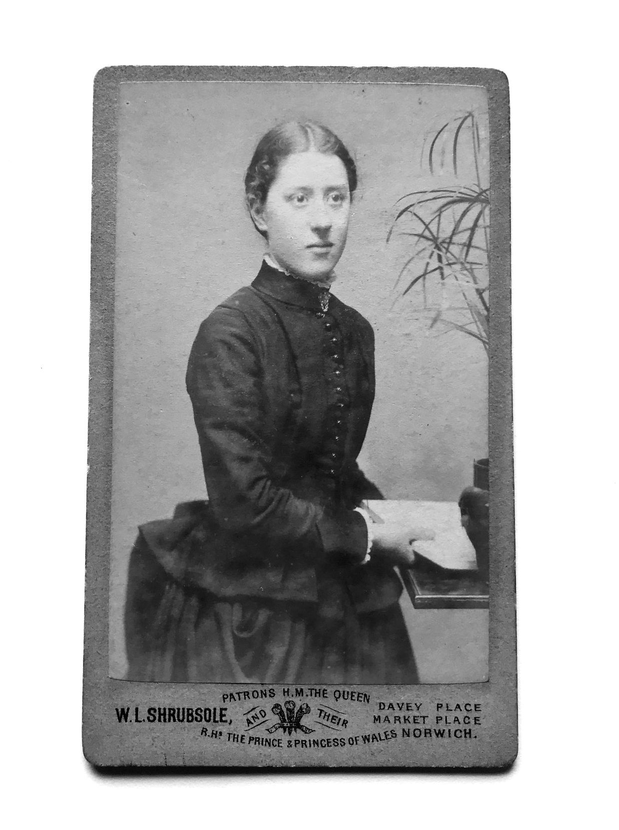 Edith Holler, libro: trama, recensione Edward Carey | Style