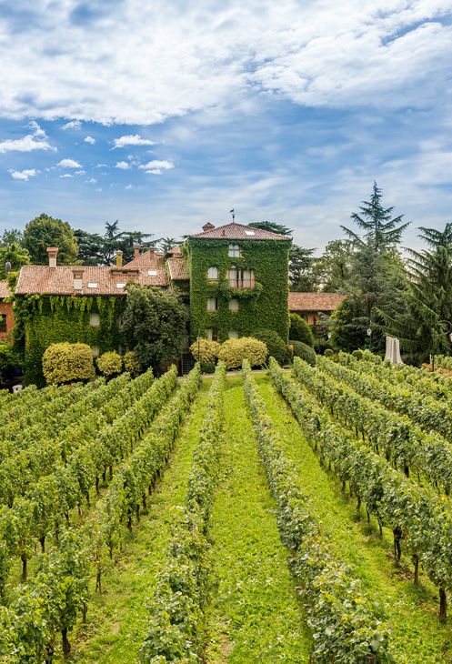 Le più suggestive cantine d'Italia - Style