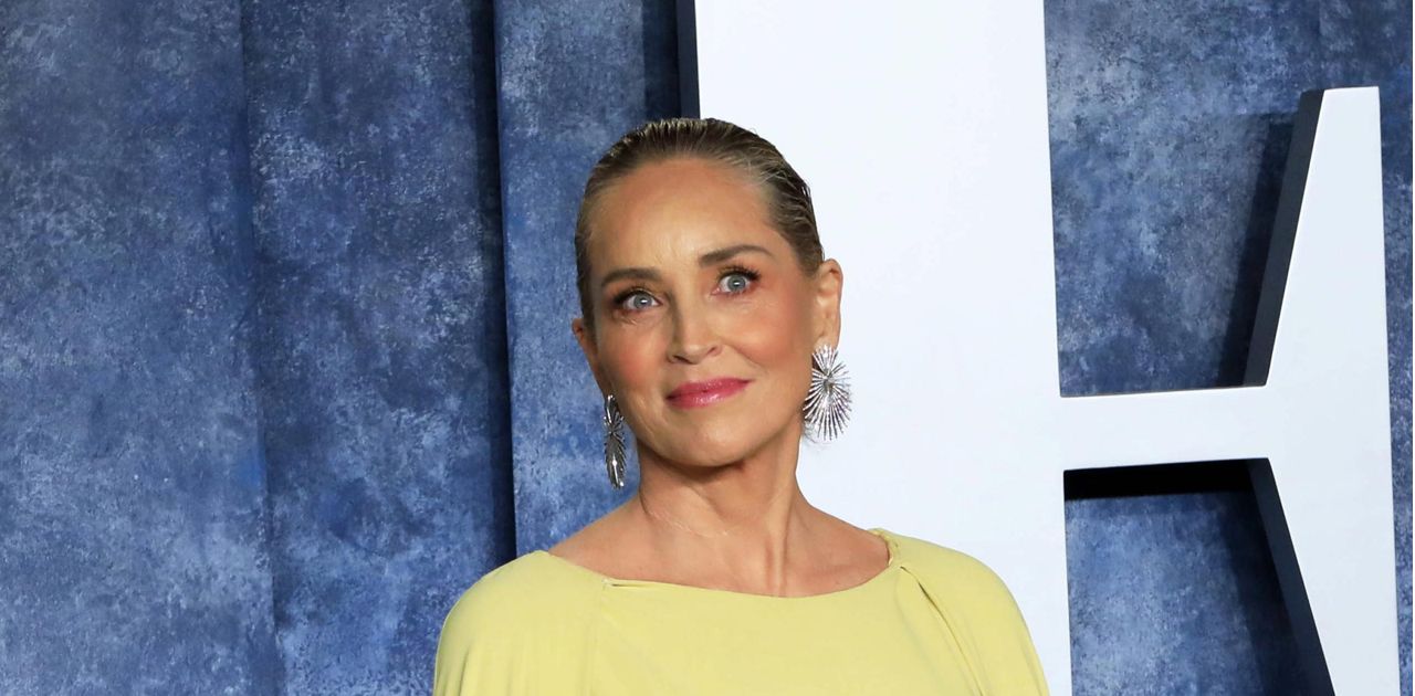 Sharon Stone prima vittima illustre fallimento Silicon Valley Bank | Style