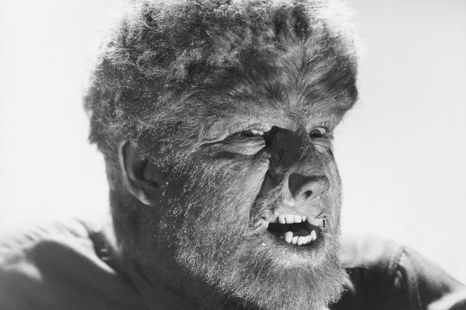 Homo homini lupus: traduzione chi l'ha detto filosofia | Style