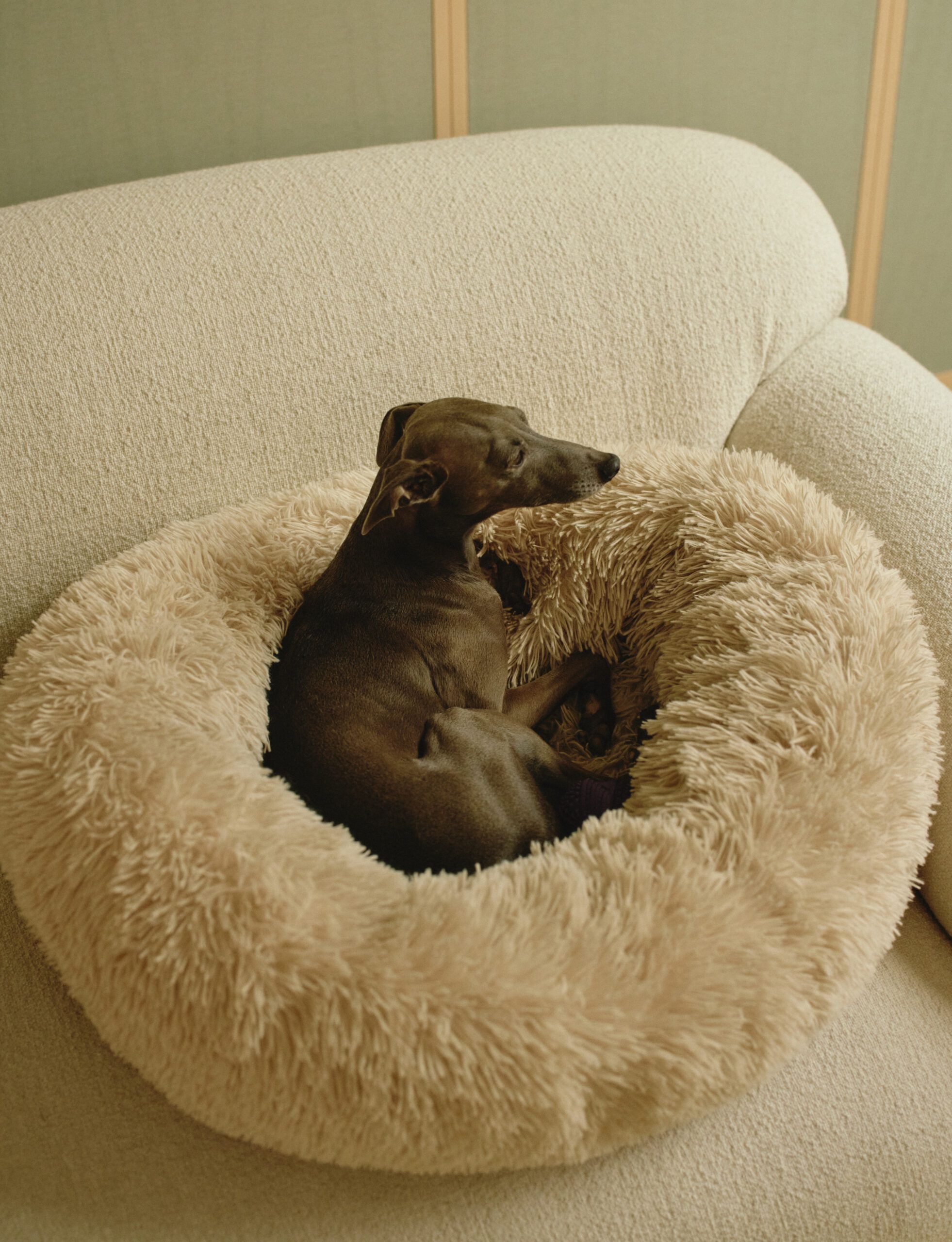 formafantasma e il loro design radicale: intervista | Style