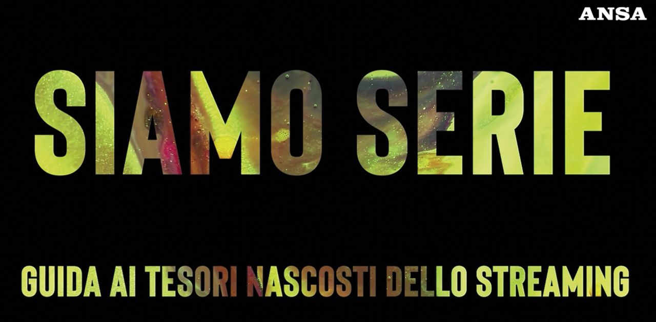 Serie tv, le migliori: i tesori nascosti dello streaming 5 | Video Style