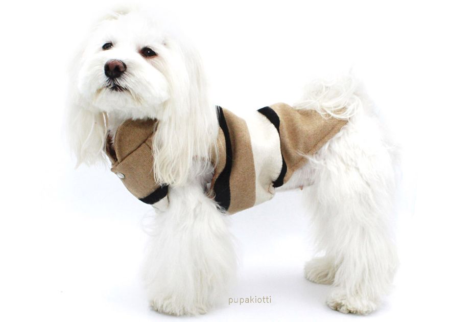 Moda per cani: i must per l'autunno/inverno 2021/22 | Style